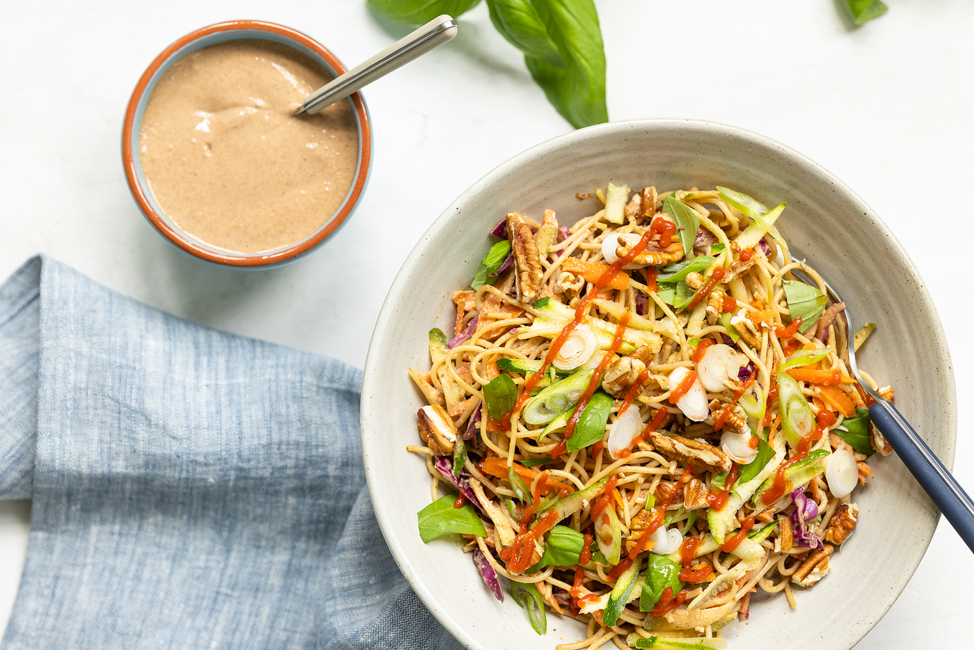 Spicy Noodle Salad with Pecan Ginger Dressing - Schermer Pecans
